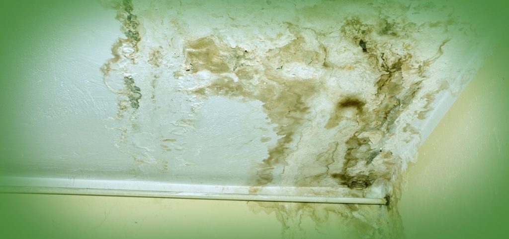 10 Important Facts You Need To Know About The Consequences Of Leaving A ...