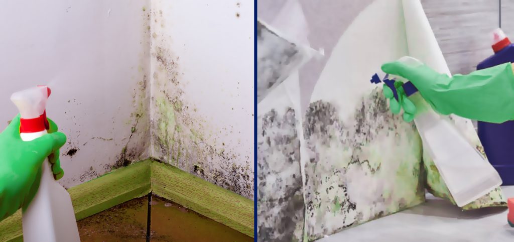 5 Water Damage Prevention Tips And What to Do If It Happens